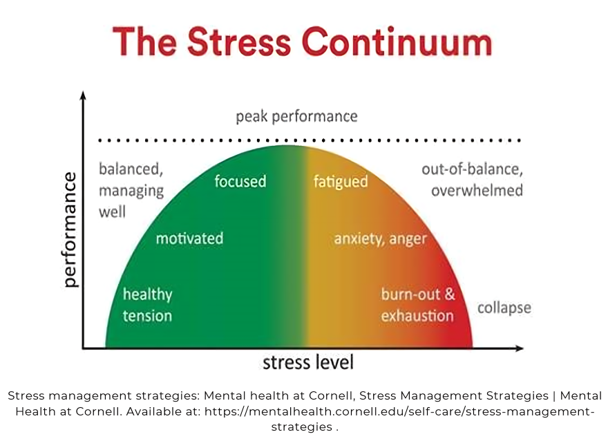 Strategic Stress Management for Exams and Beyond - DEGIS gGmbH